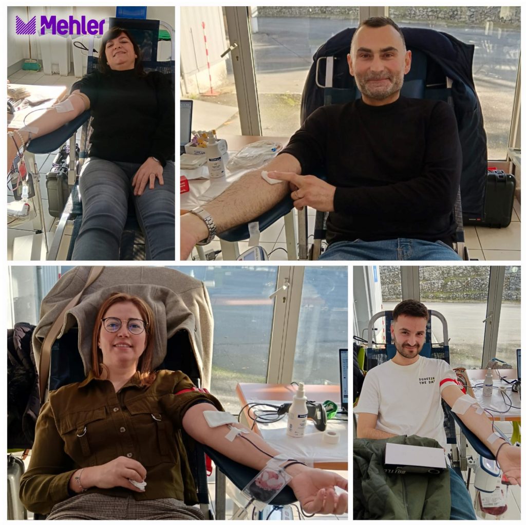 Home page | MEHLER EP